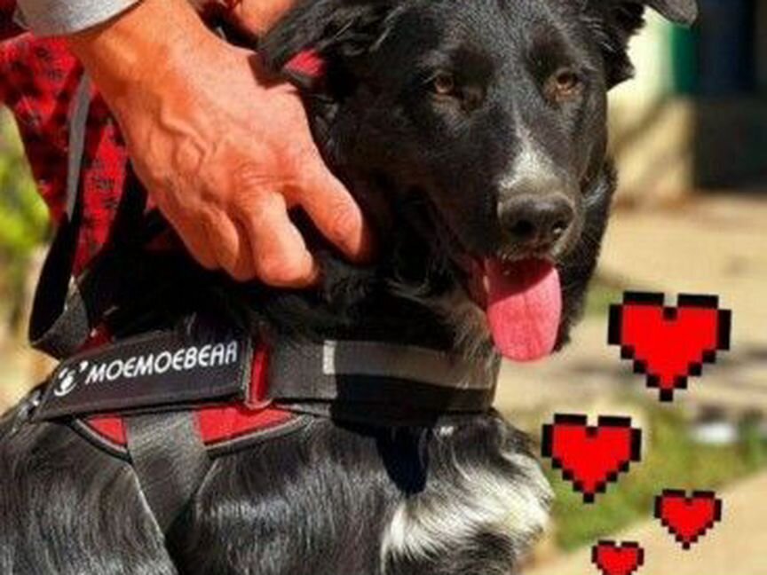 Ищем самые добрые руки для мальчика