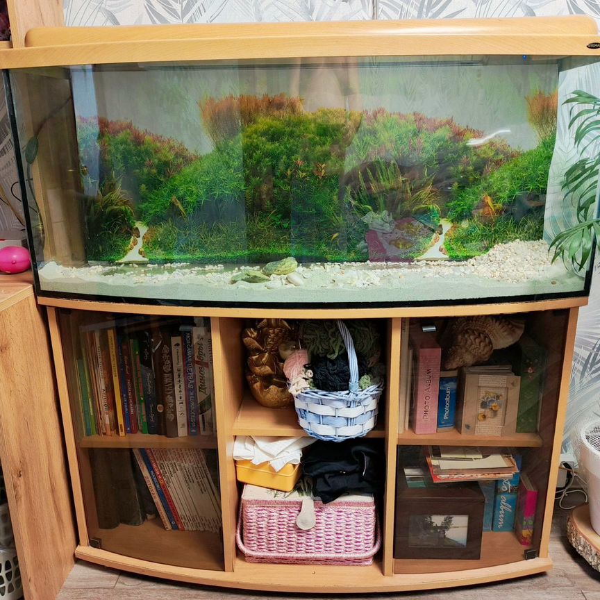 Аквариум с тумбой 230литров