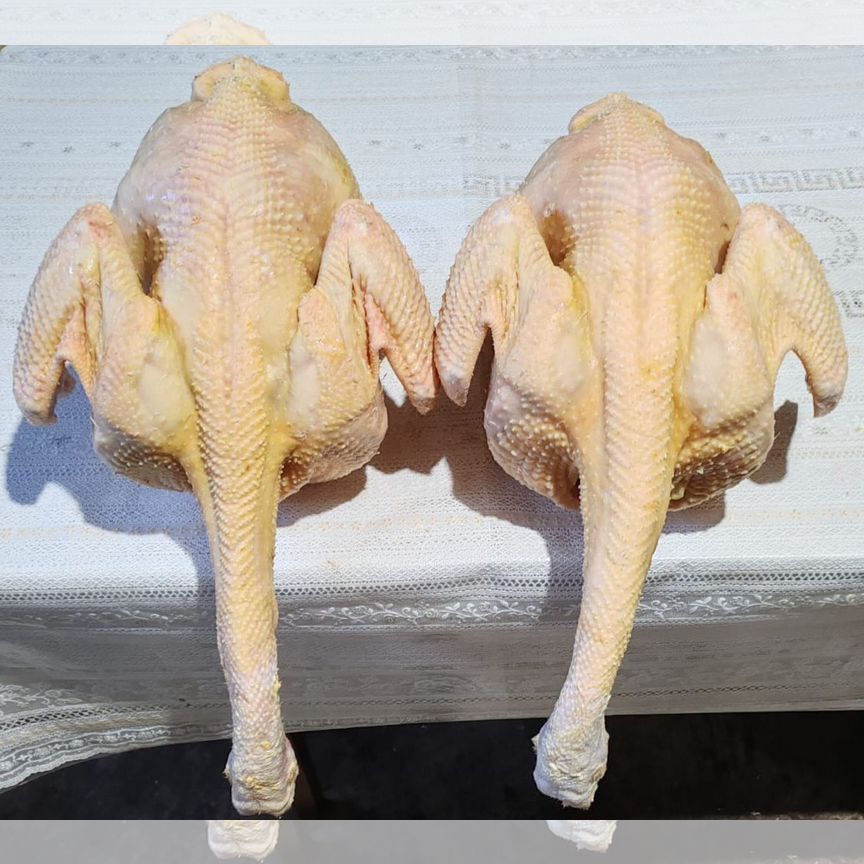 Продаются индюки домашние все вопросы по телефону