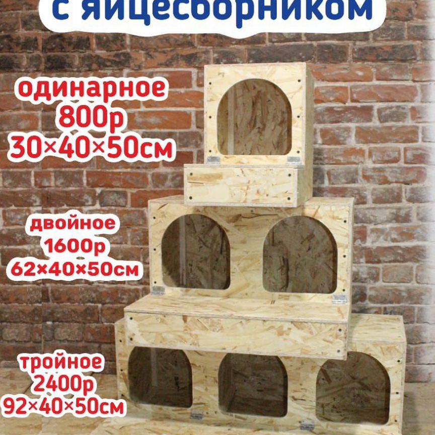 Гнездо для кур с яйцесборником