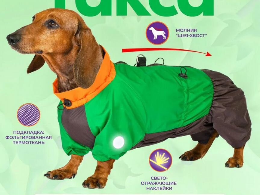 Комбинезон для таксы. Размер L