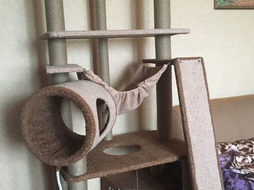 Когтеточка