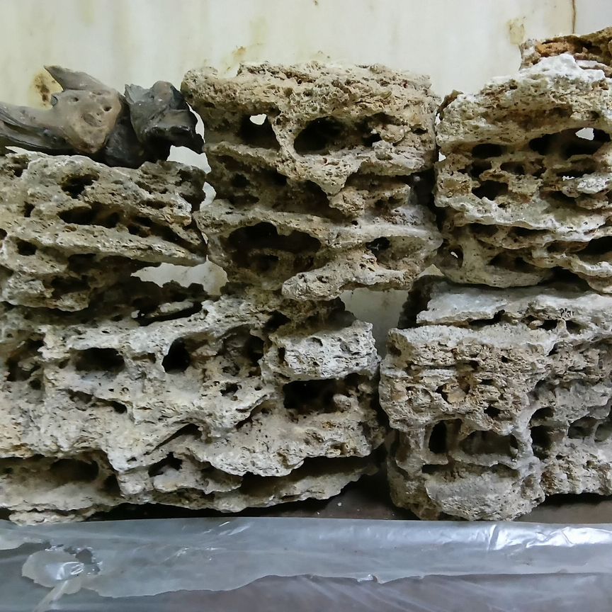 Песчаник в аквариум