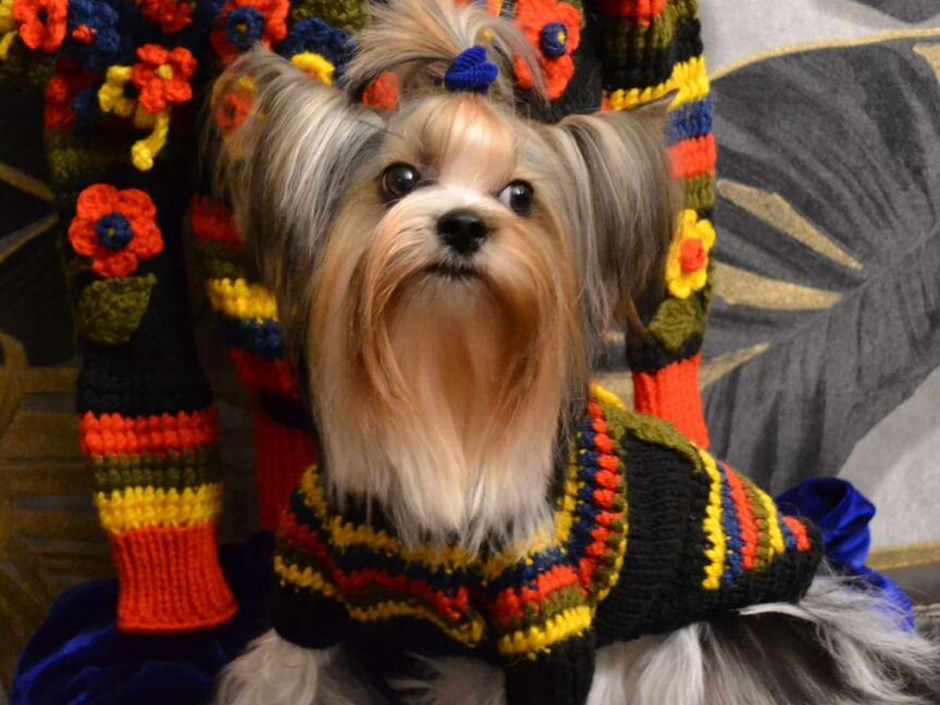 Дизайнерская одежда