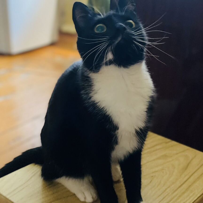 В ответственные руки