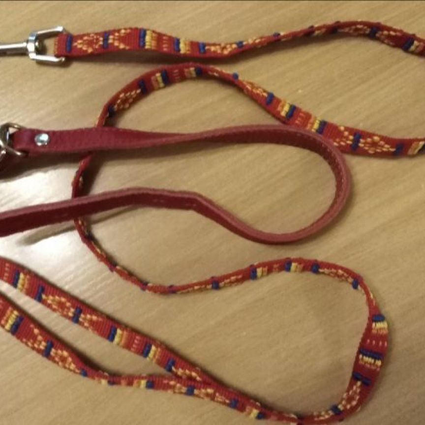 Ошейник с поводком