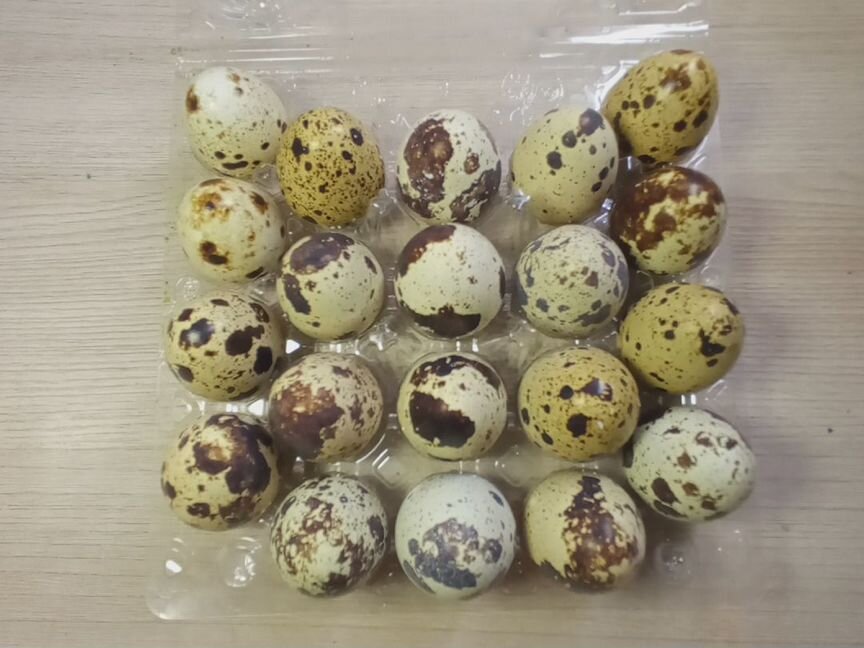 Яйцо перепелинное