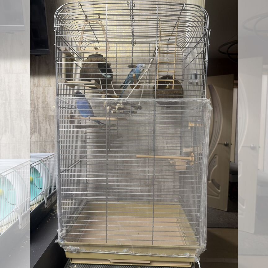Волнистые попугаи с клеткой