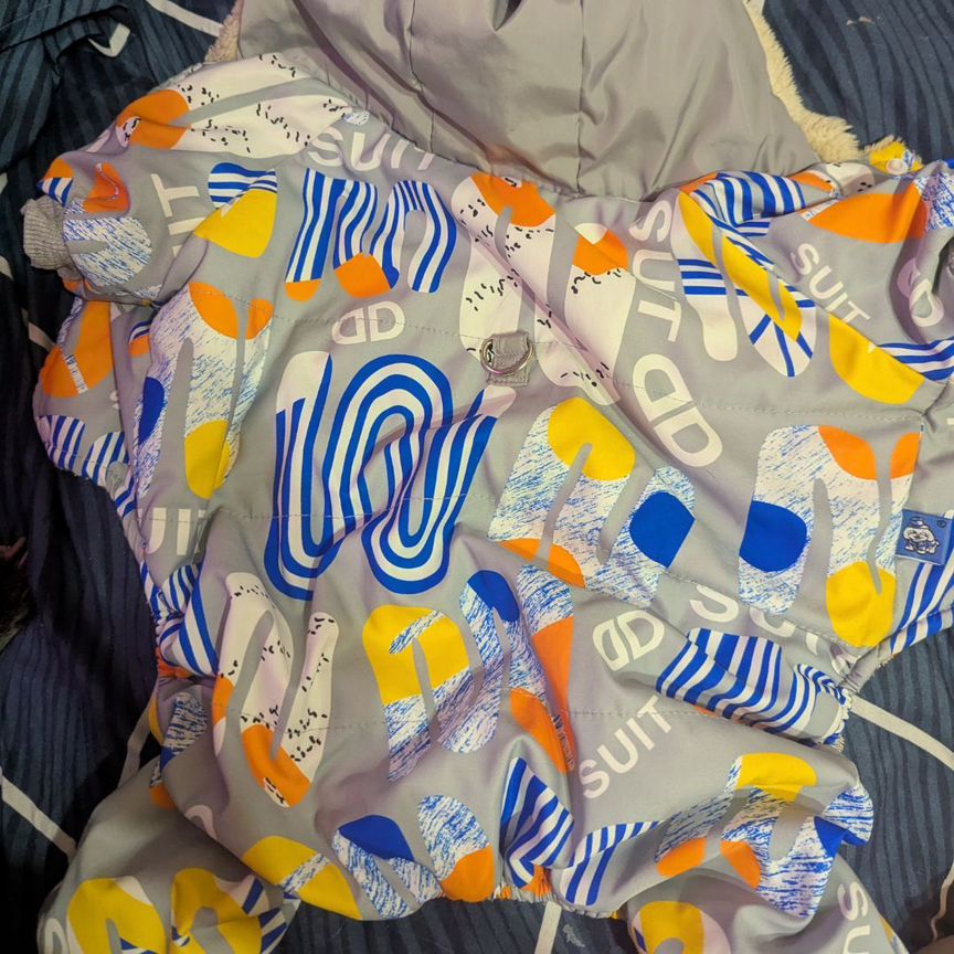 Одежда для французского бульдога