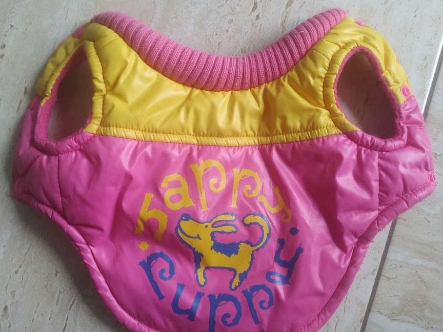 Вещи для собак мелких пород