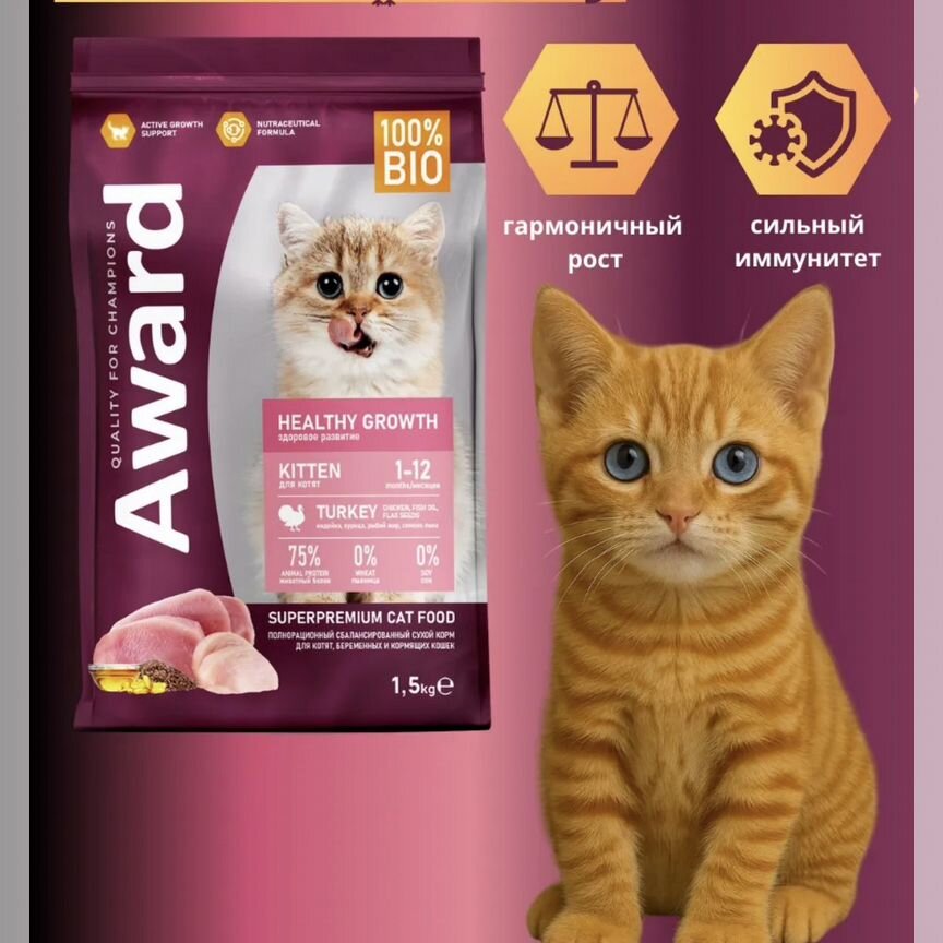 Корм для котят
