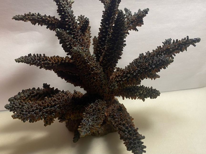 Декор для аквариума коралл