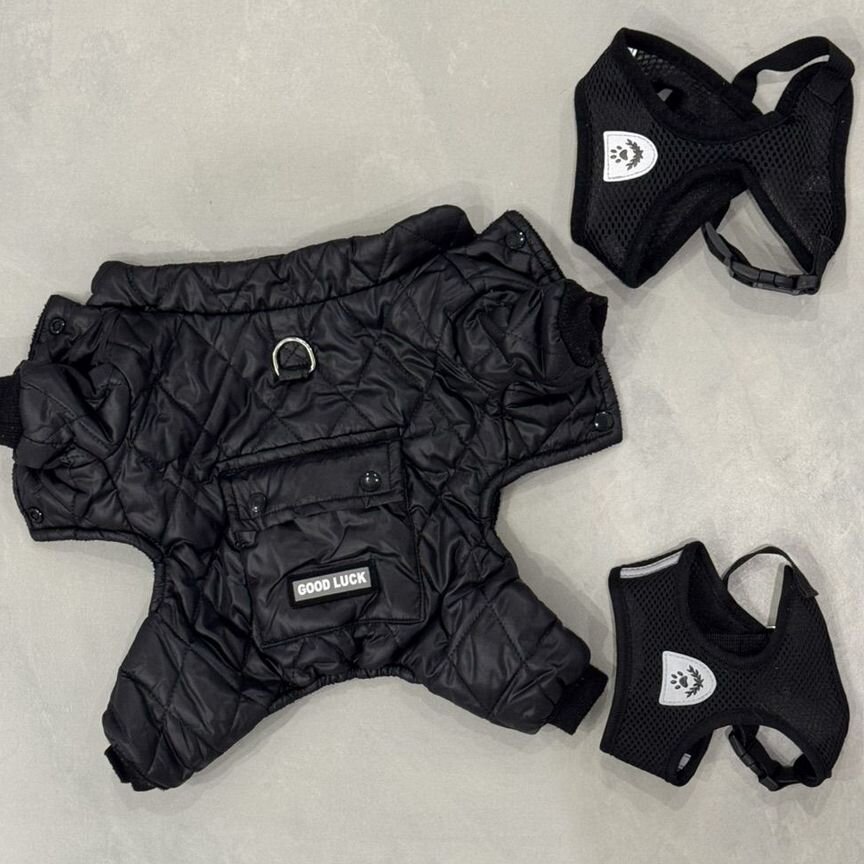 Комбинезон   Шлейки S и M  поводок