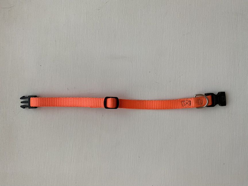 Одежда для маленьких собак