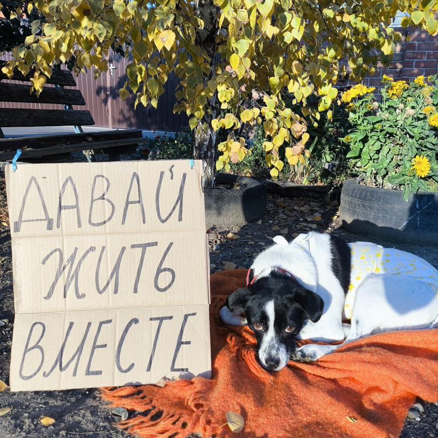 Небольшой Наденьке некуда идти