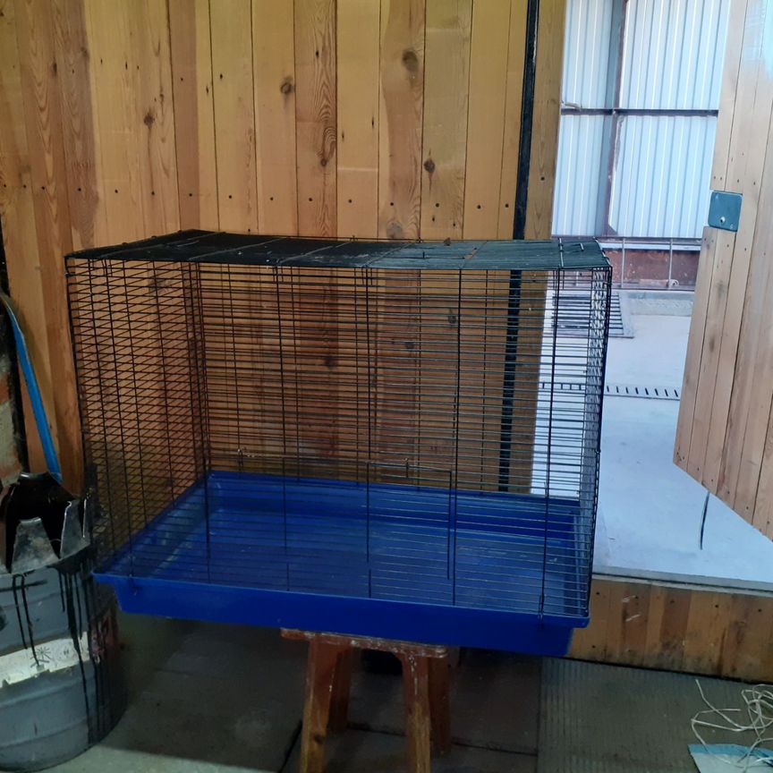 Клетка для грызунов очень большая