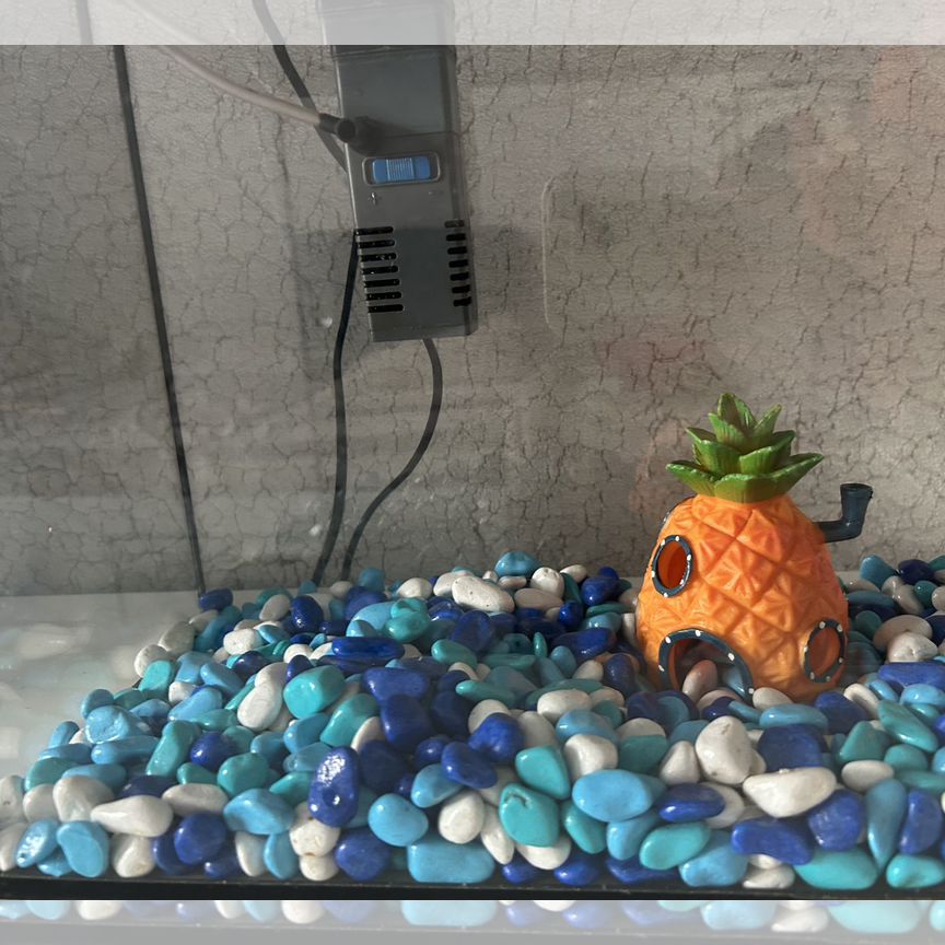 Аквариум с фильтром