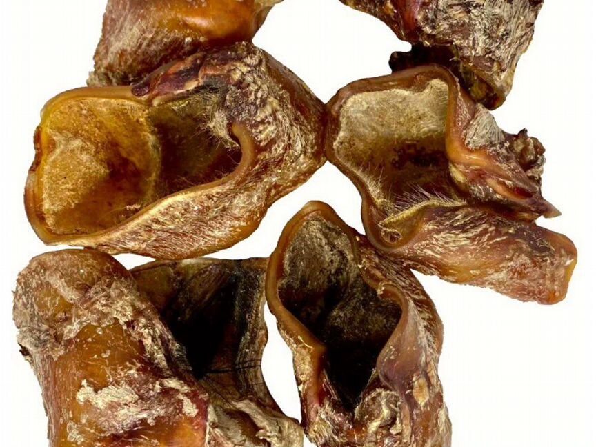 Ухо ракушка говядина лакомства для собак