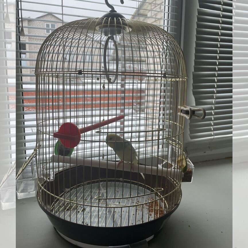 Клетка для попугая большая золотая