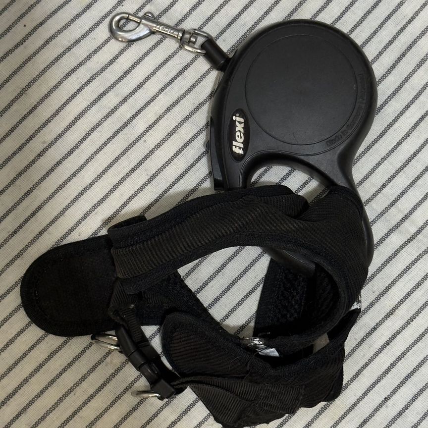 Поводок со шлейкой Flexi