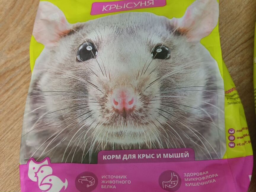 Корм для крыс