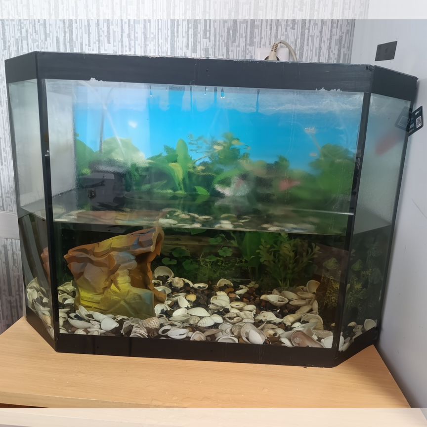 Аквариум 70 литров