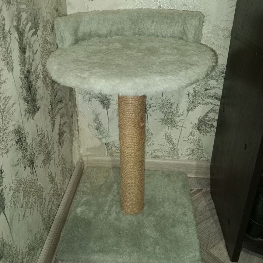 Когтеточка