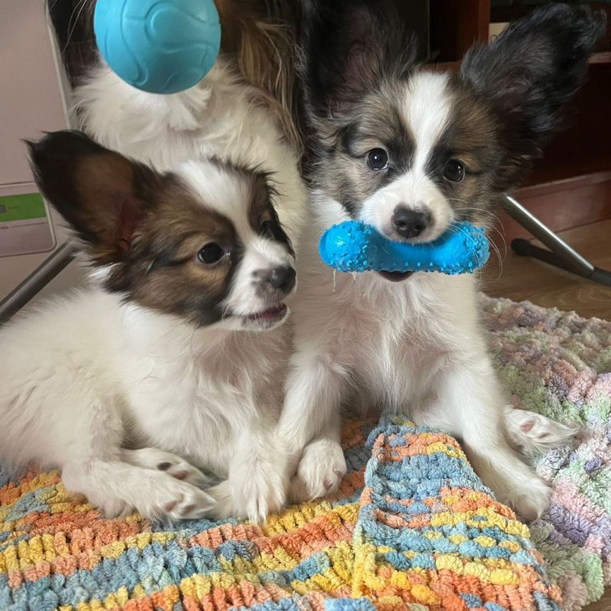 Сладкие мальчики