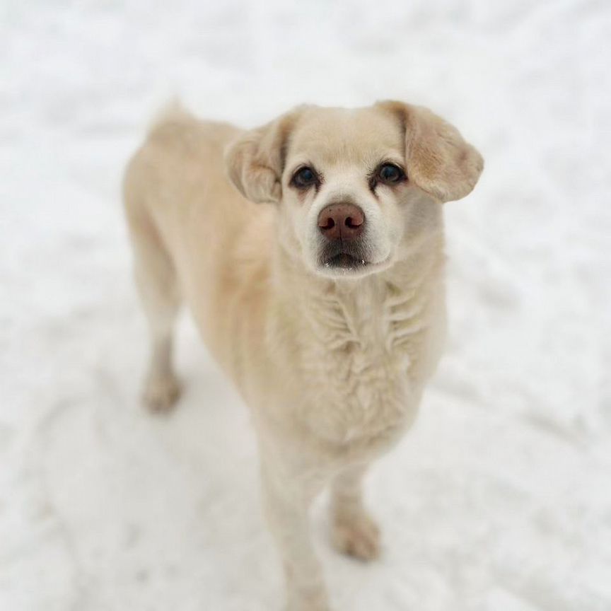 Я так и не узнаю, что такое дом