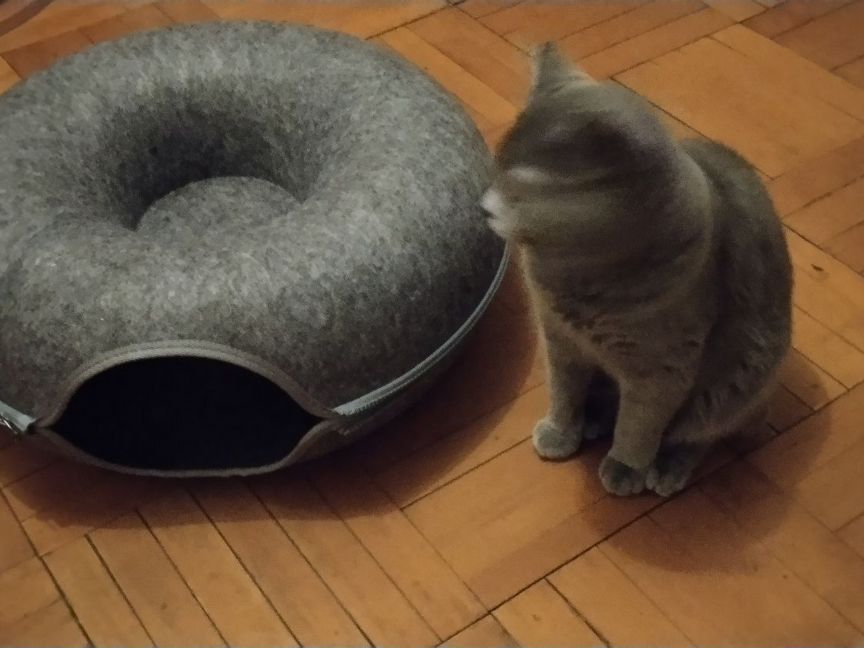 Домик тоннель для кошек, маленьких пород собак