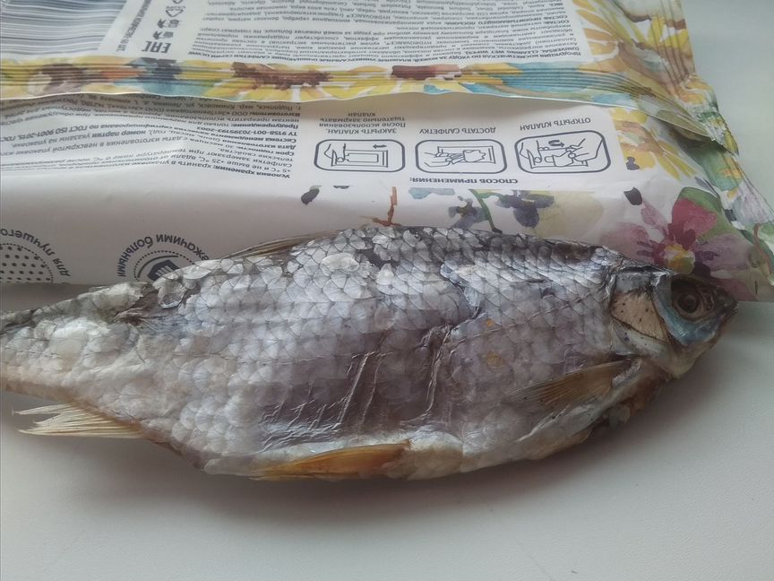 Рыба
