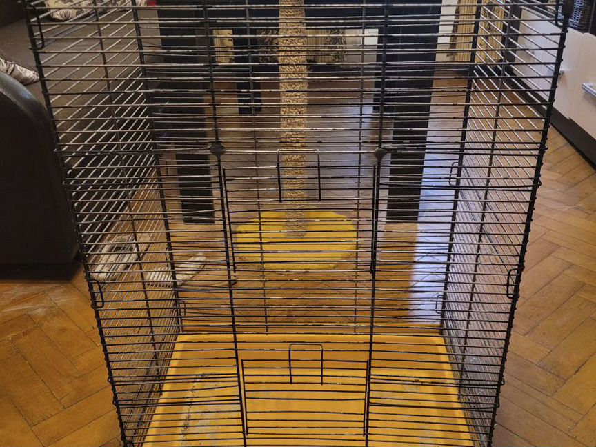 Большая клетка для грызунов или птиц, с дефектами