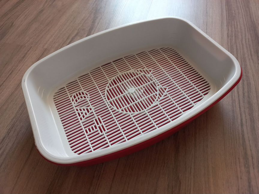 Лоток для котят