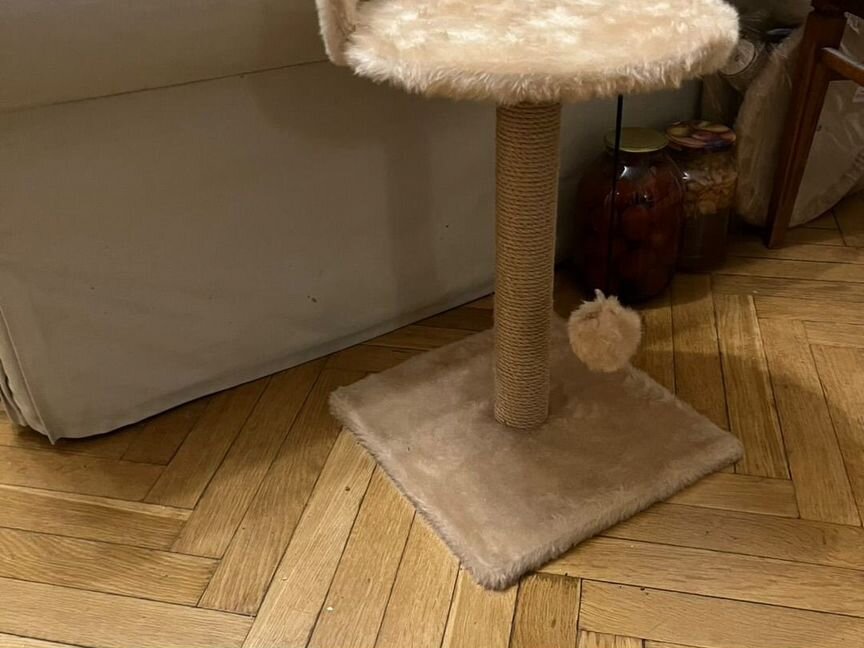 Когтеточка для кошки