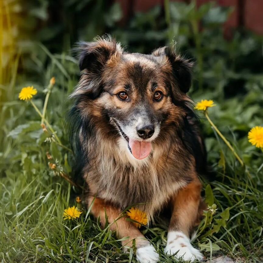 Эрик ищет дом