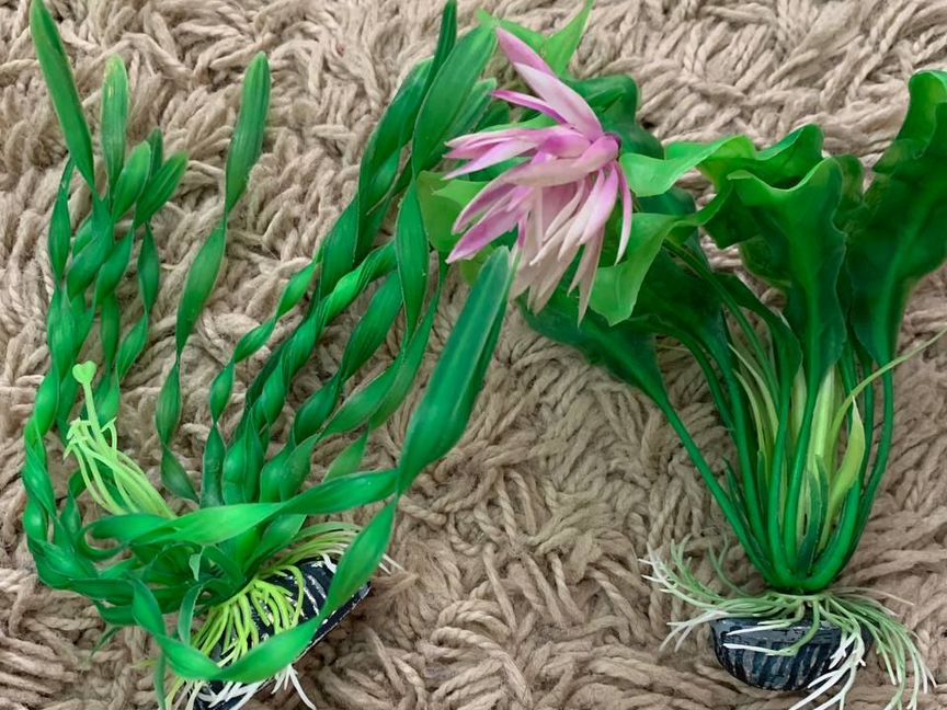 Аквариумные растения искусственные