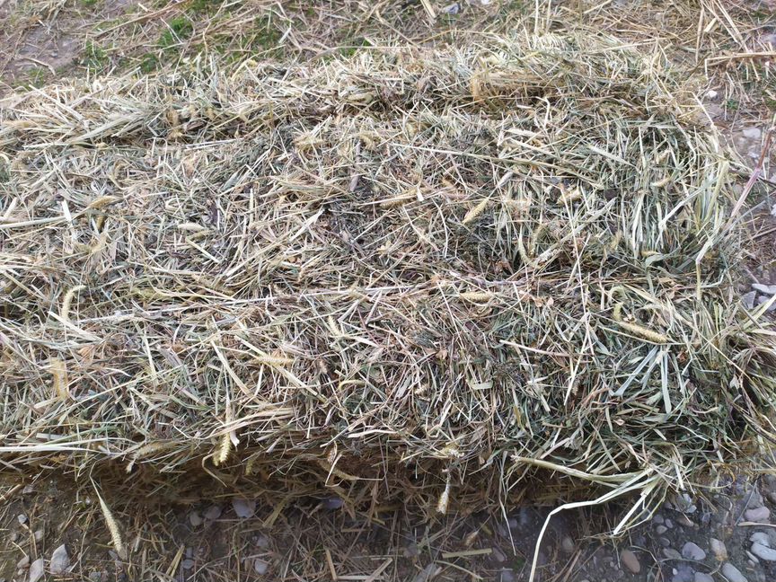 Салома в тюках