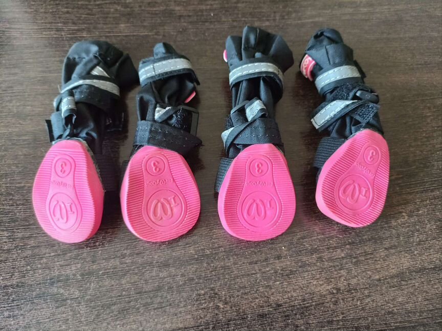 Ботинки для собак