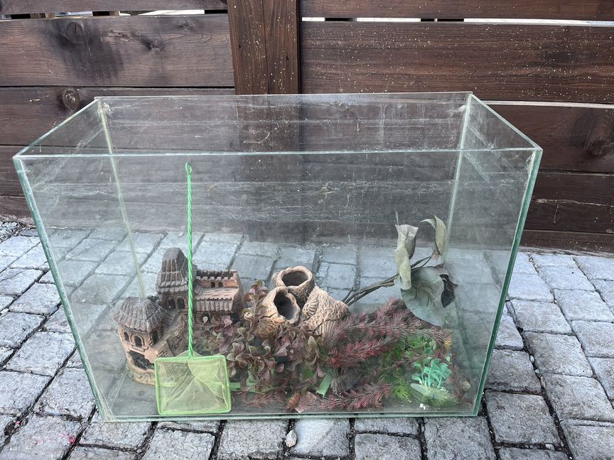 Аквариум 60 литров + наполнение