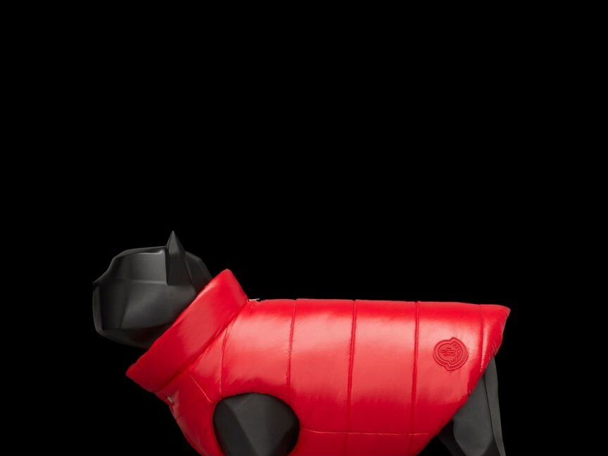 Жилет для собак Moncler x Poldo dog couture