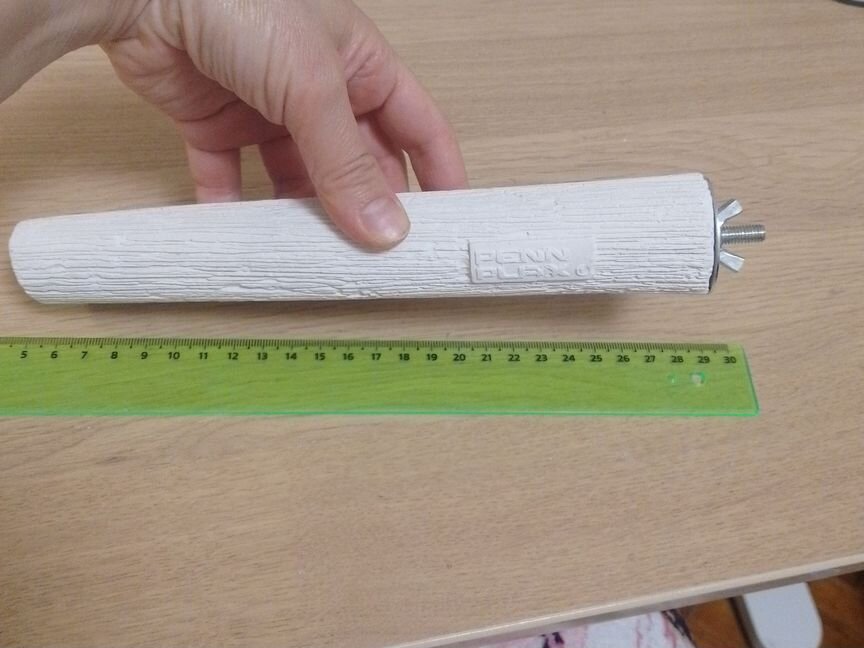 Домашние животные птицы