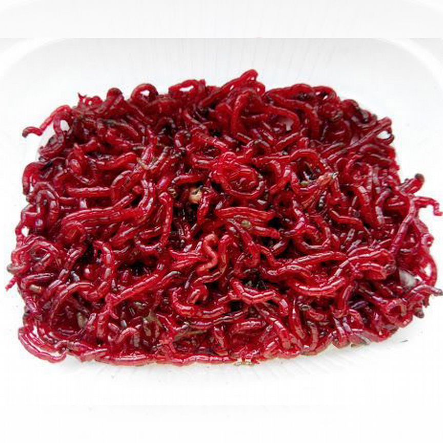 Мотыль крупный замороженный 500 гр брикет