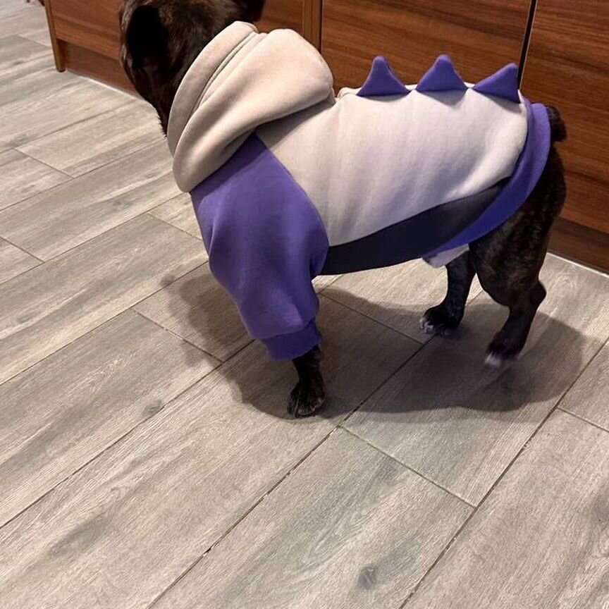 Худи для собак