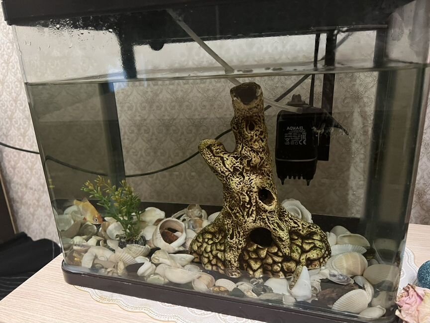 Аквариум с фильтром и подсветкой и с рыбками