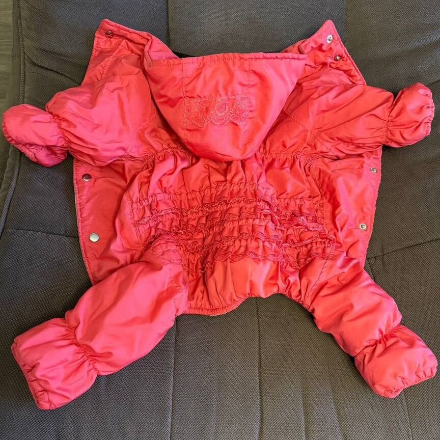 Одежда для собак девочка