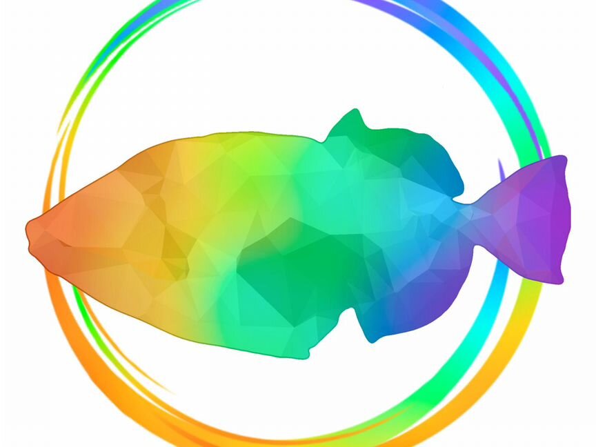 Дизайн аквариума и уход