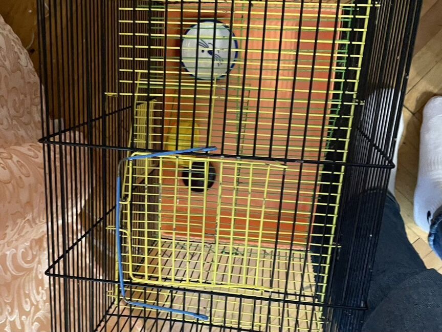 Клетка для грызунов читайте описание