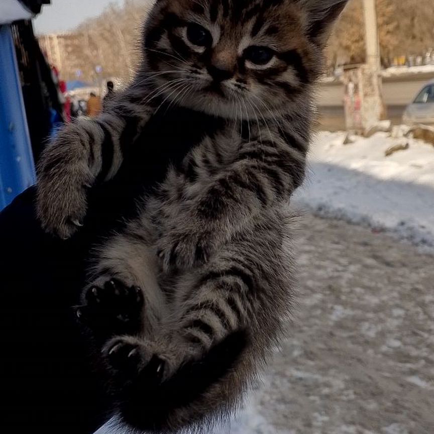 Мальчик