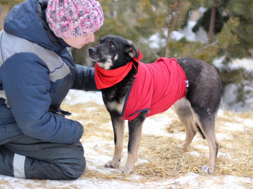 Возьмите Варю-она так одинока