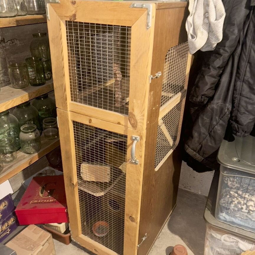 Витрина для шиншилл